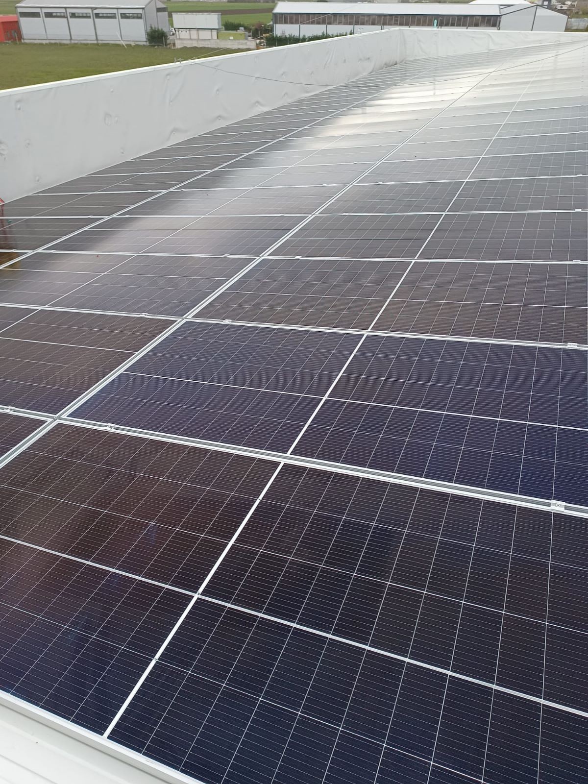 Proiecte | SmartSun